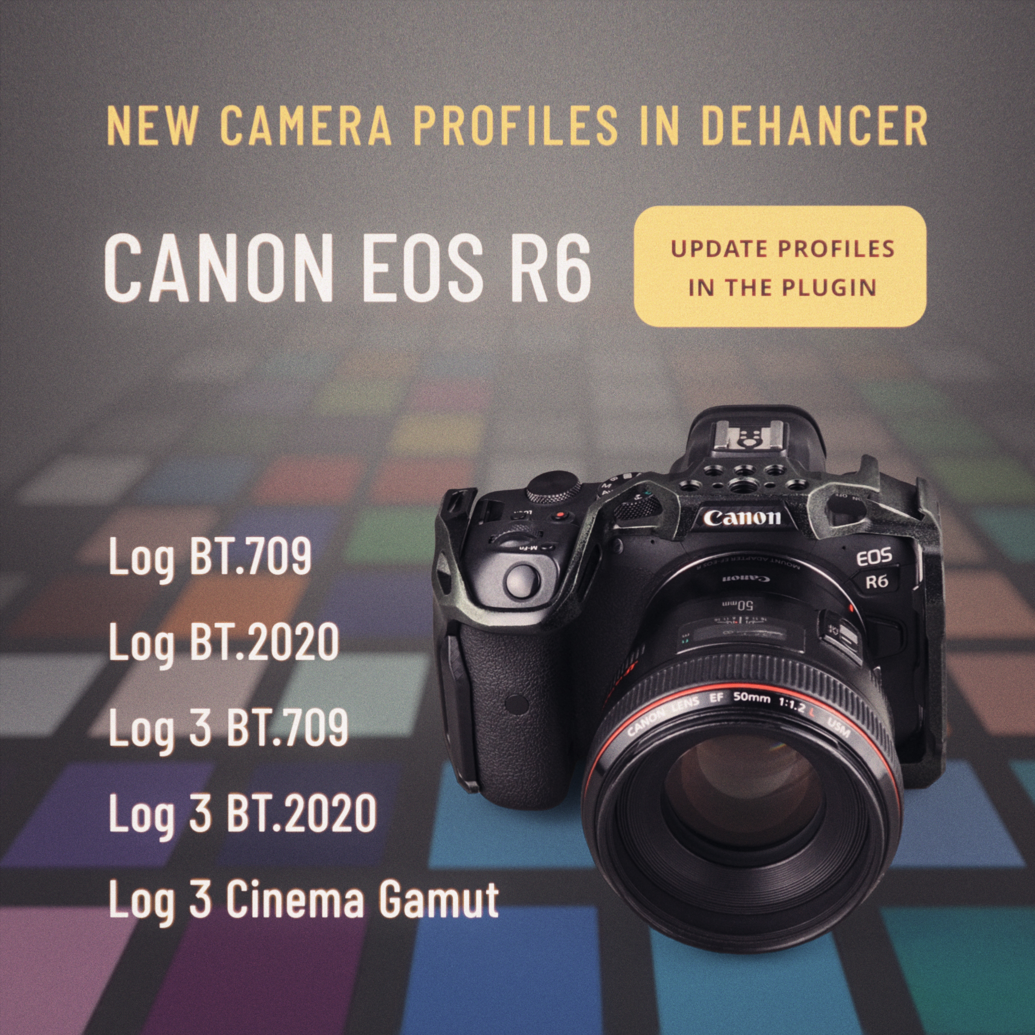 camera_profiles_canon-r6 – Dehancer Blog