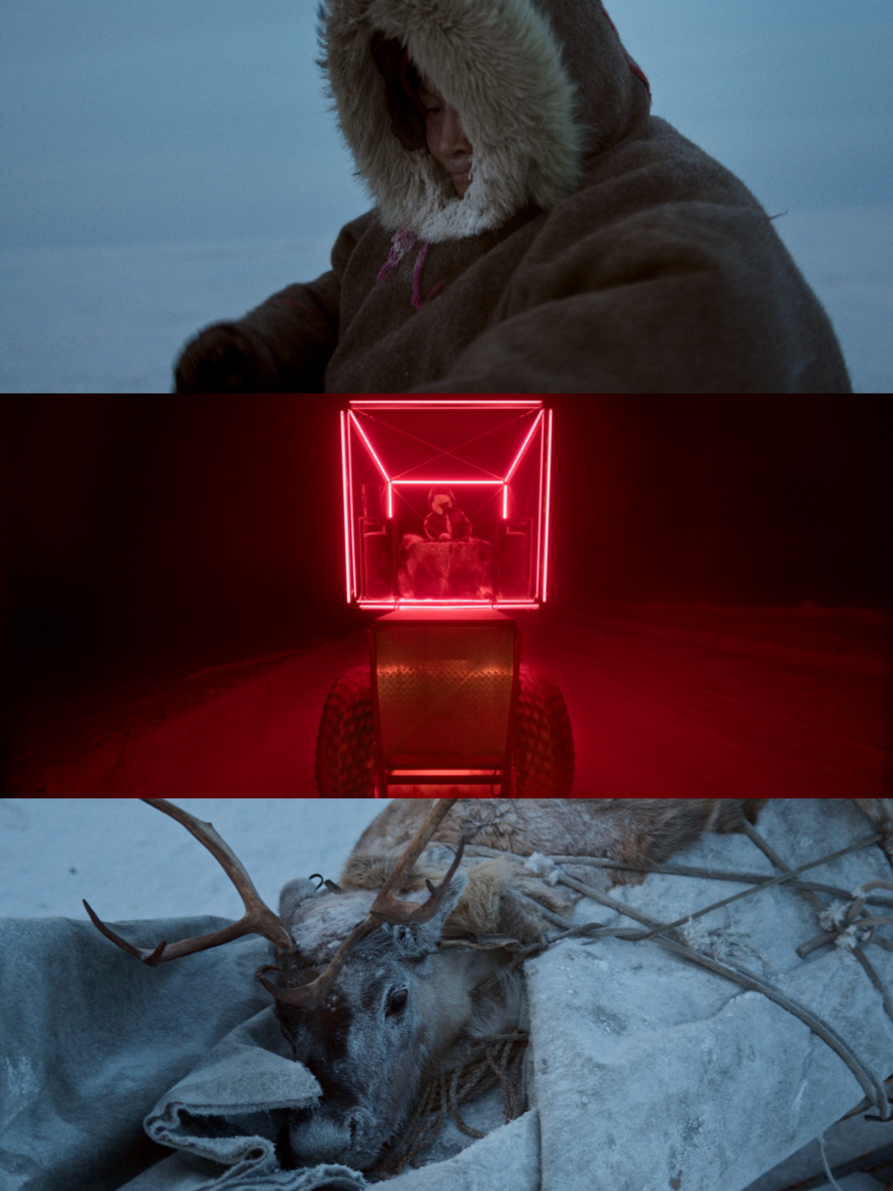 «Voices of Arctic» color graded by Denis Anishchenko – Dehancer Blog
