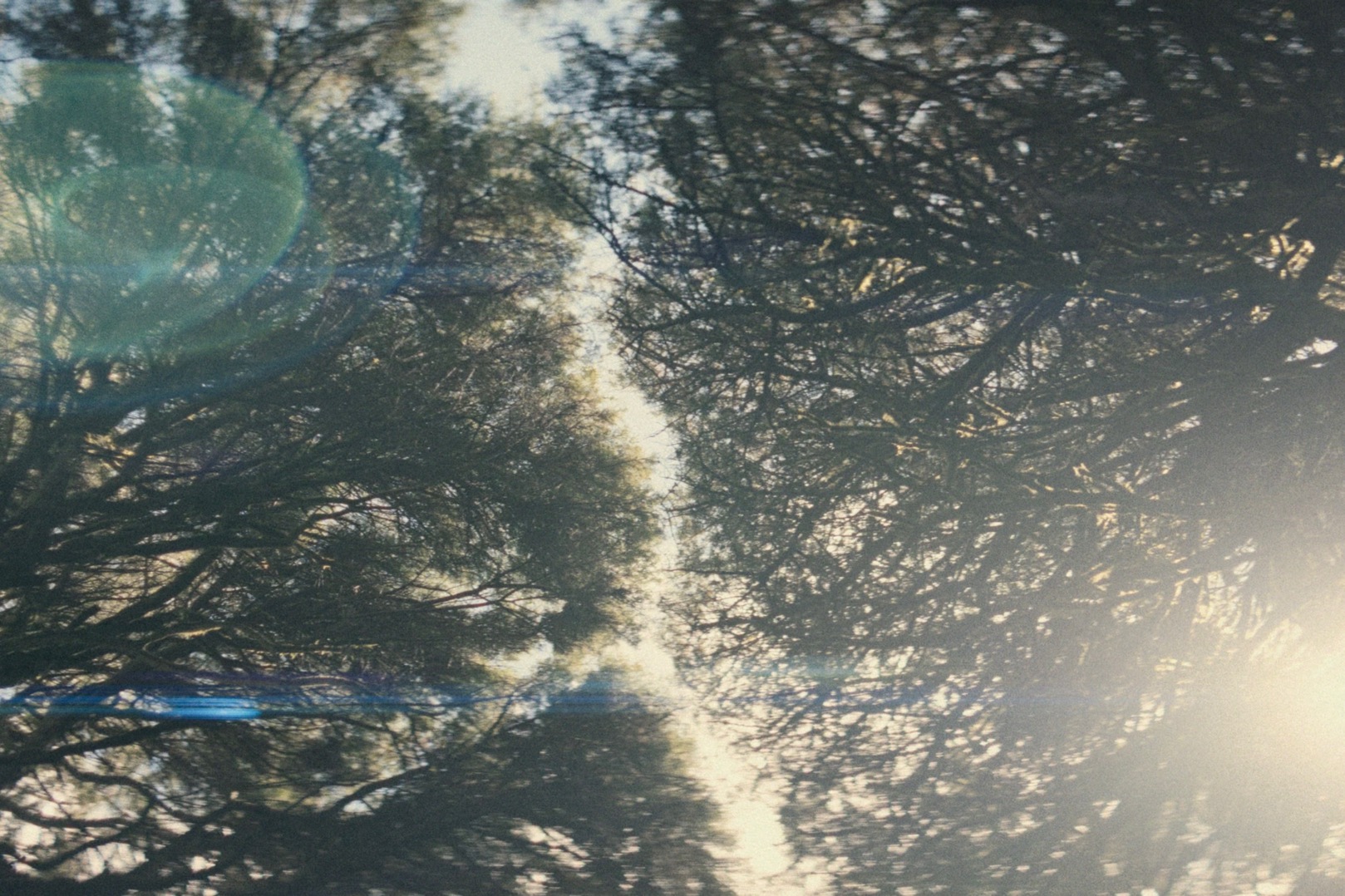 Screen grabs from the “Tanya Fryer – Catching Time” short artist ...