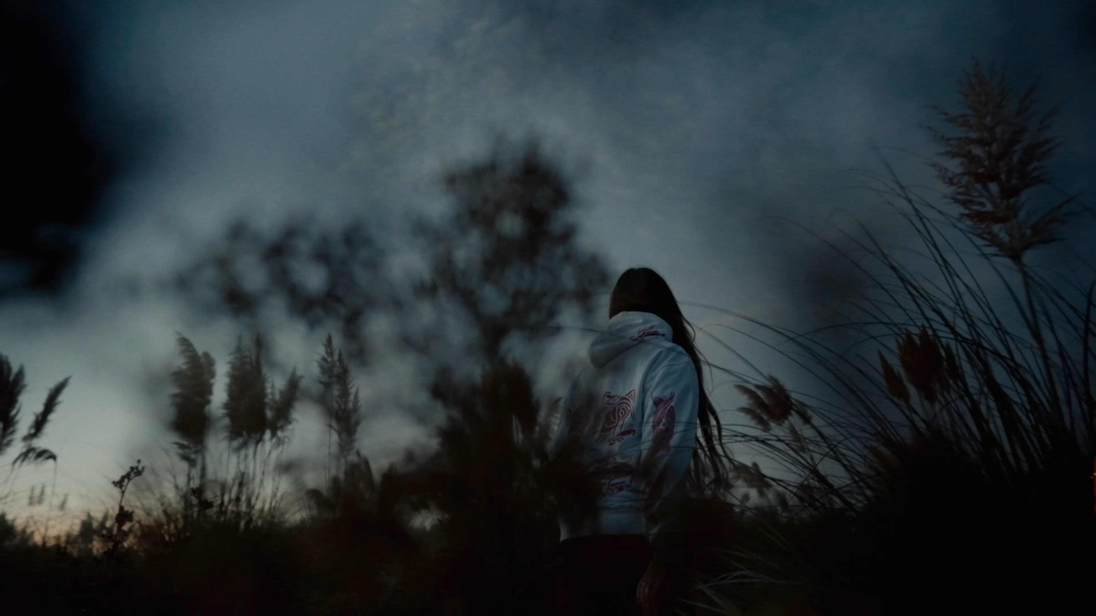 Screen grabs from the “LE TÉTRAMORPHE” project for CRÉÉ À SION. Color ...