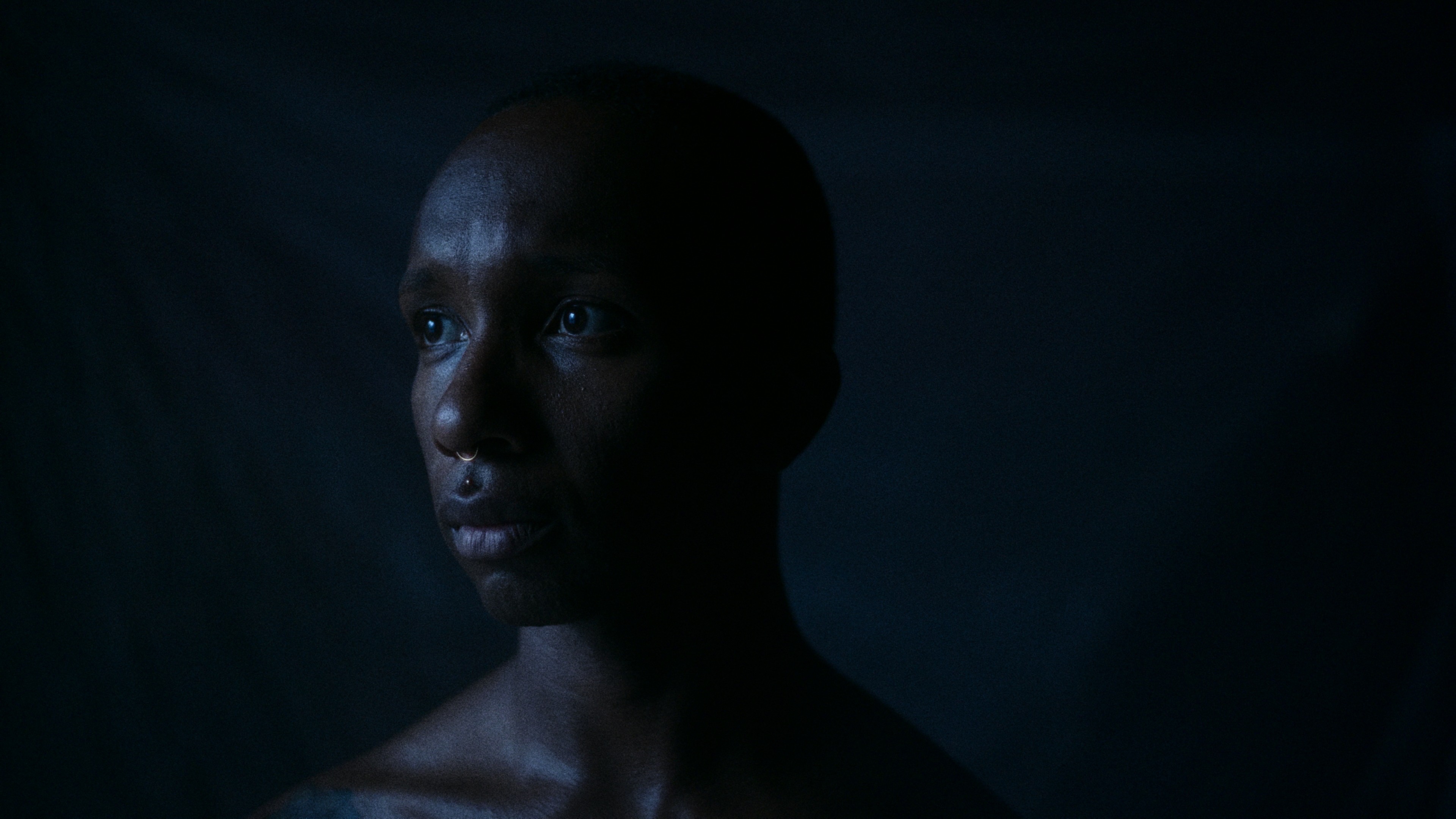 Screen grabs from the “Ascension – David J. Amado” short portrait video ...