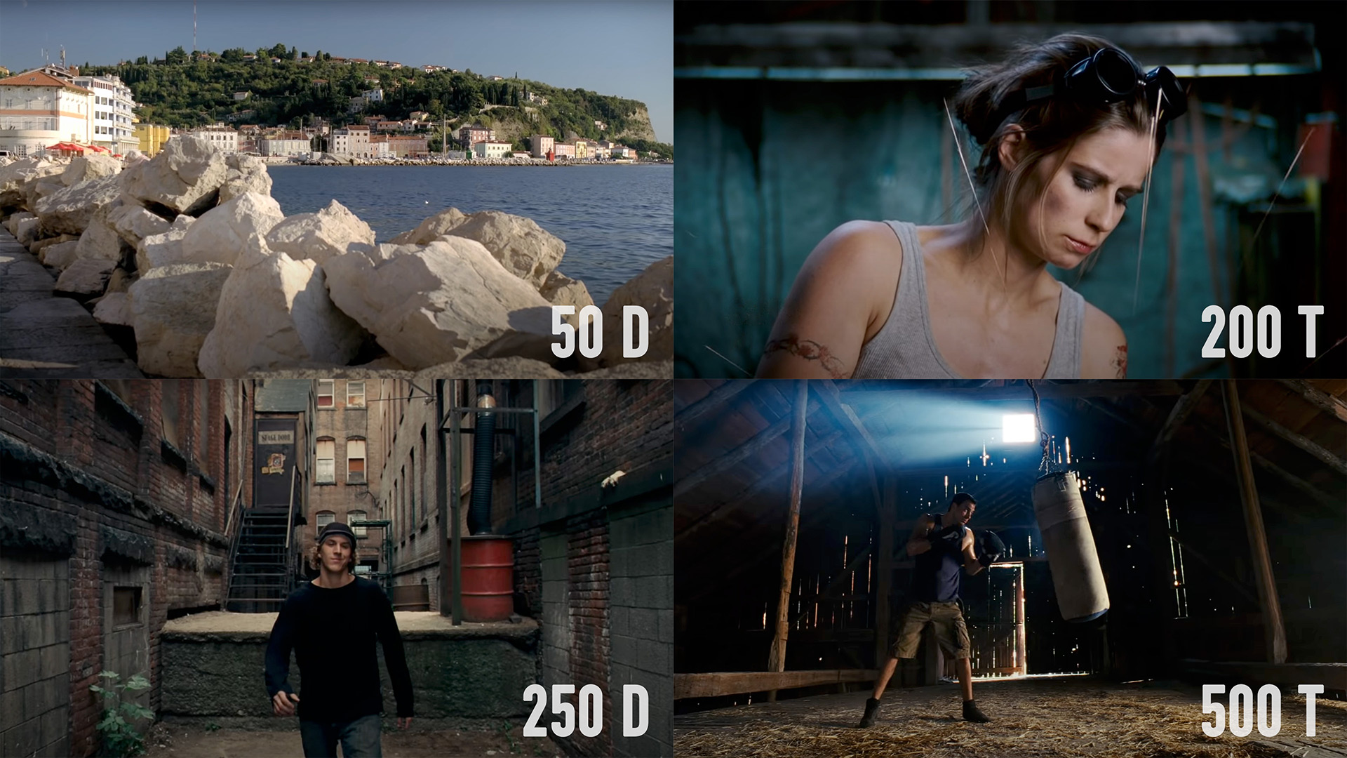 Modern motion picture color negative films – Dehancer Blog