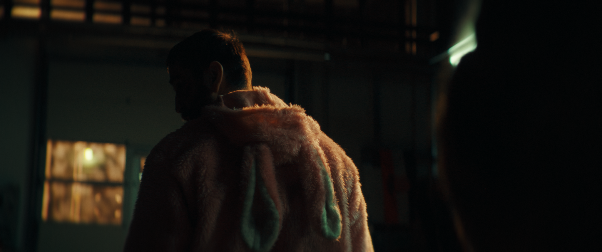 Screen grabs from the “HUSH RABBIT” short film. Color graded by ...
