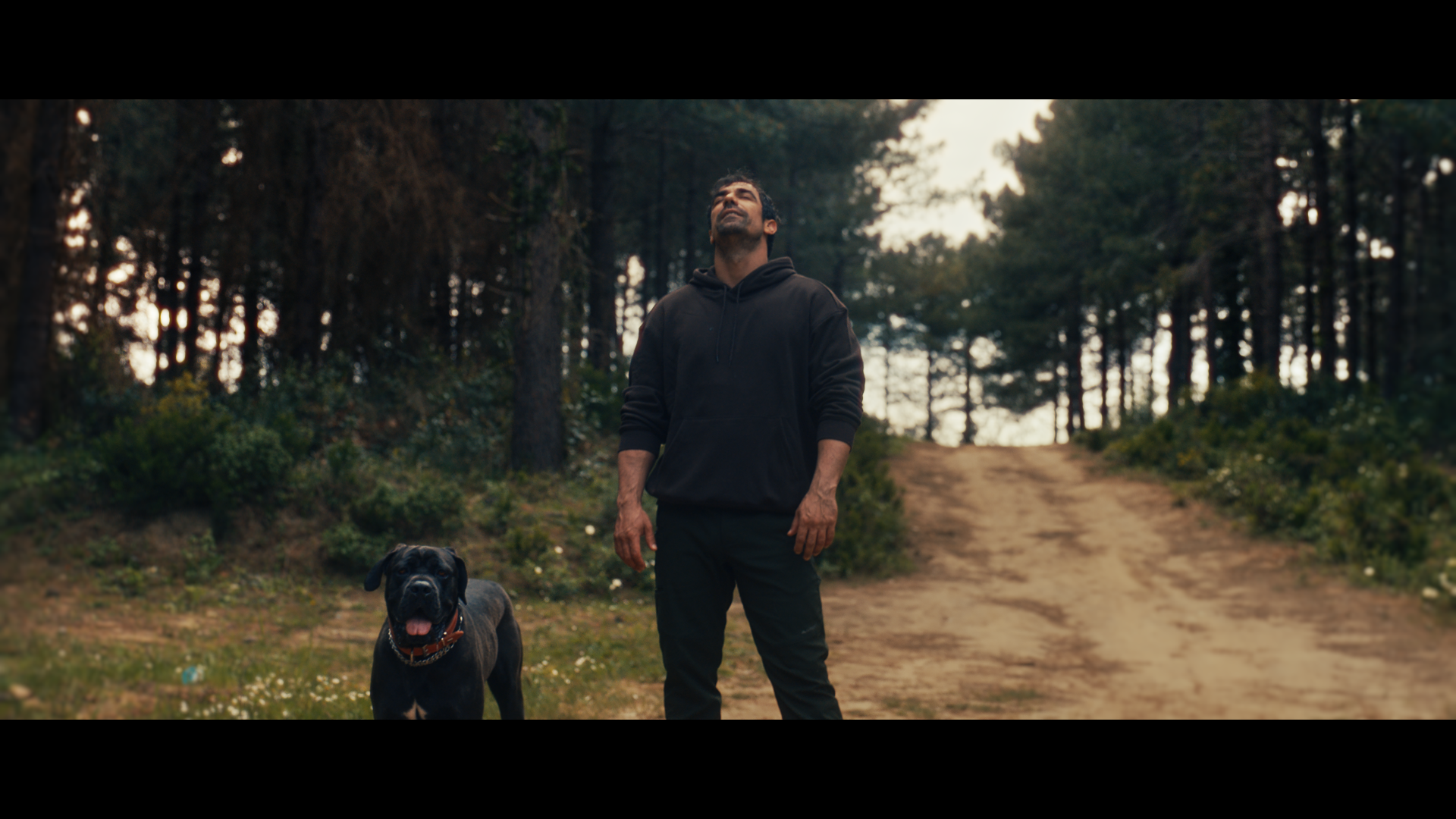 Screen grabs from the video for The Whirl. Color graded by The Post ...