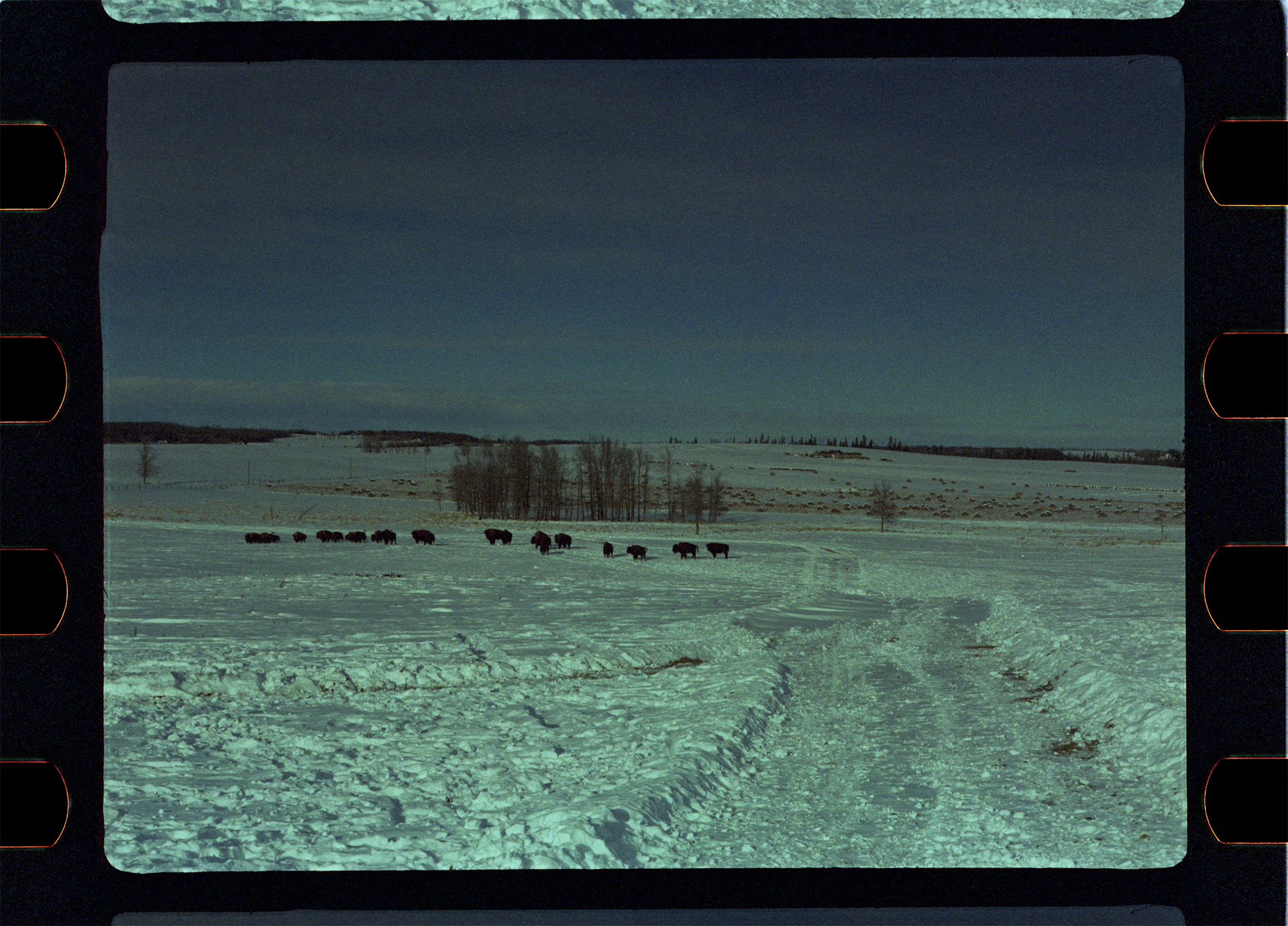 Dehancer Overscan Tool – Dehancer Blog