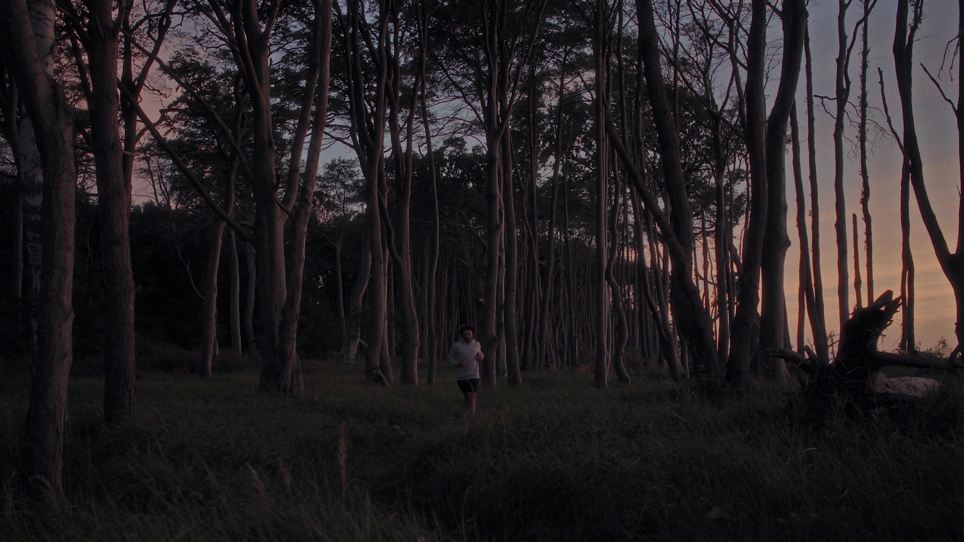 Screen grabs from the «GREATER ROSTOCK | EINSTIEG, AUSSTIEG, NEUSTART ...