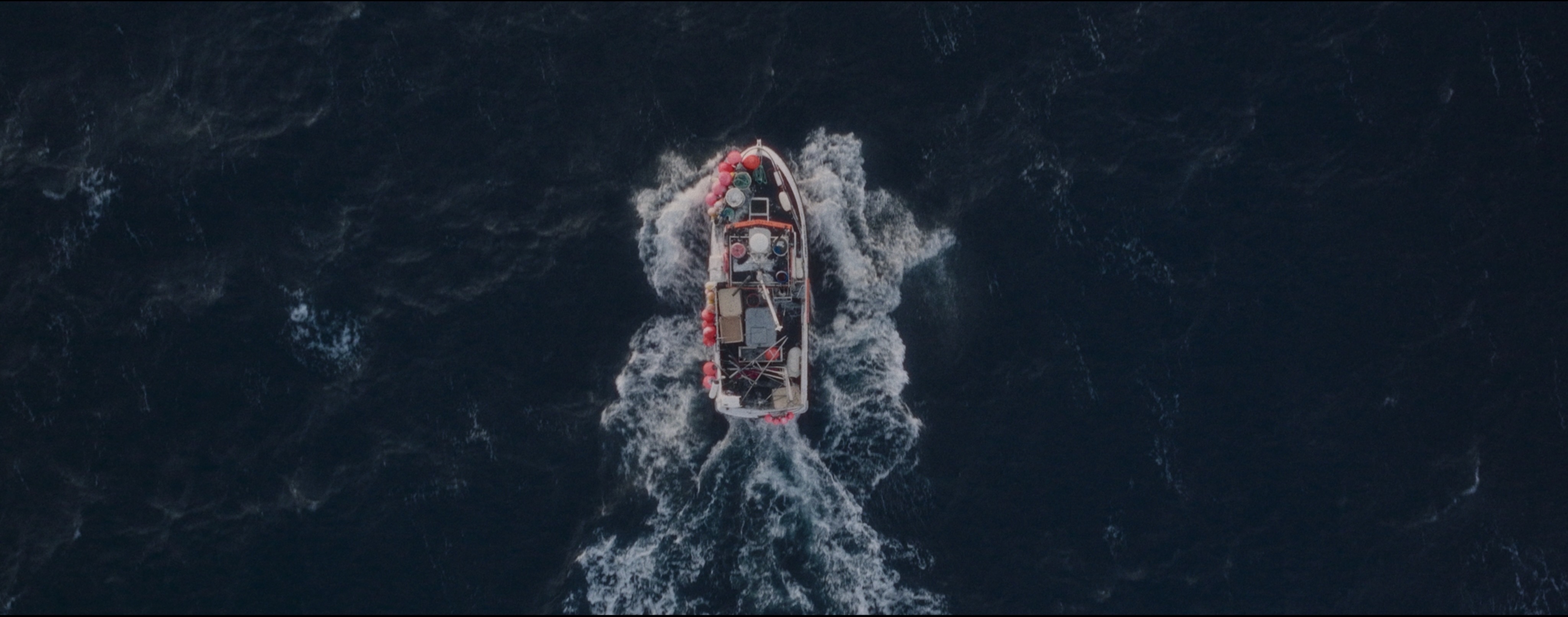 Screen grabs from the «ALFRED» documentary. Color graded by Maxime ...