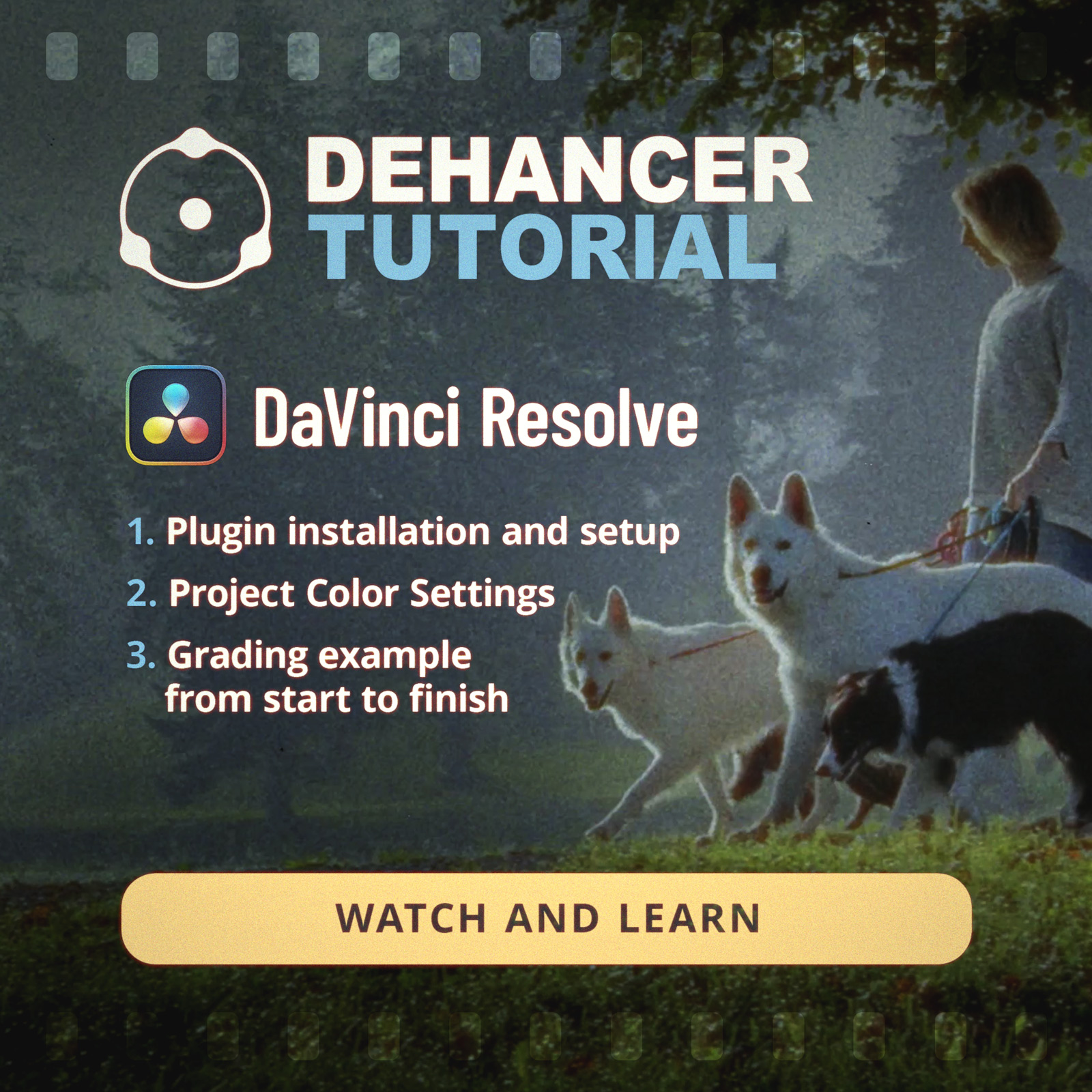 A Full Tutorial: Dehancer for DaVinci Resolve – Dehancer Blog